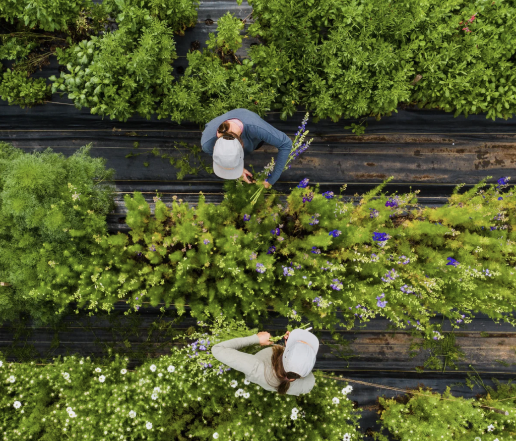 Let's grow together! - Canadian Organic Growers