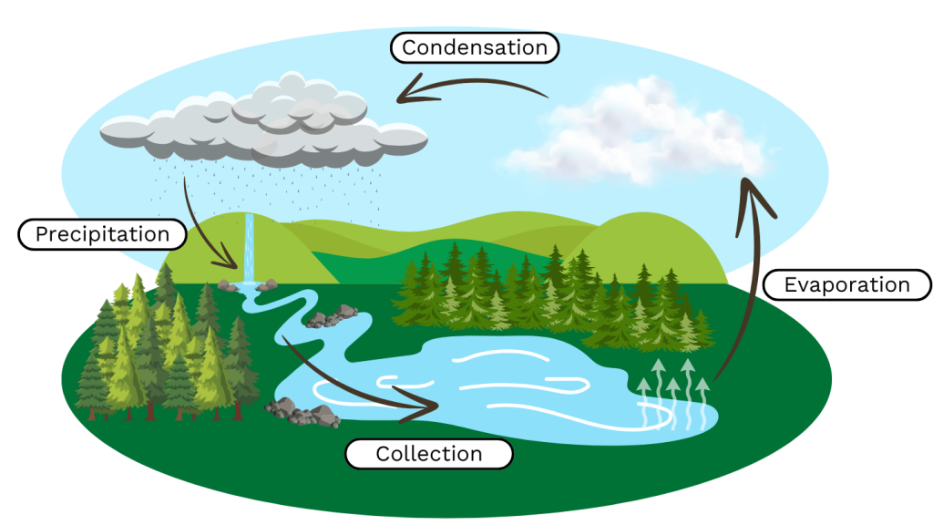 Small Water Cycle - Canadian Organic Growers
