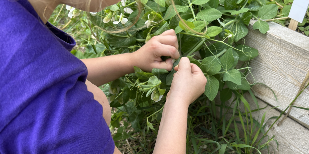 Growing Up Organic - Canadian Organic Growers