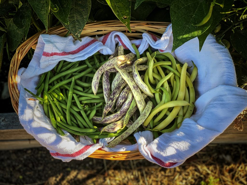 Organic Consumer Hub - Canadian Organic Growers